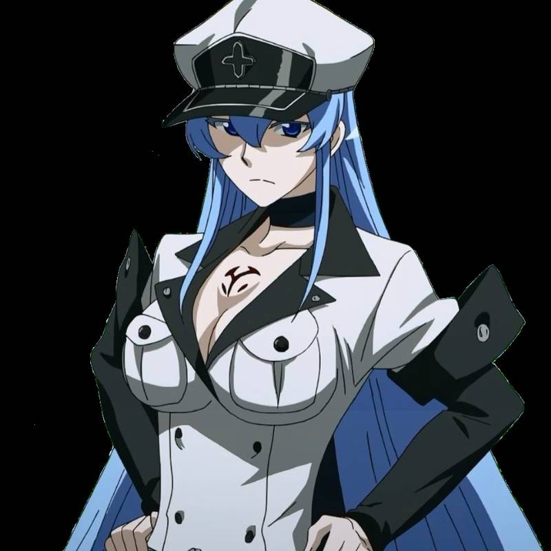 Chat with Esdeath nsfw - Enjoy Free Unrestricted AI Character Roleplay No Filter | FlowGPT ...