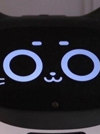 Chat with The thick robot - Enjoy Free AI Character Roleplay | FlowGPT ...