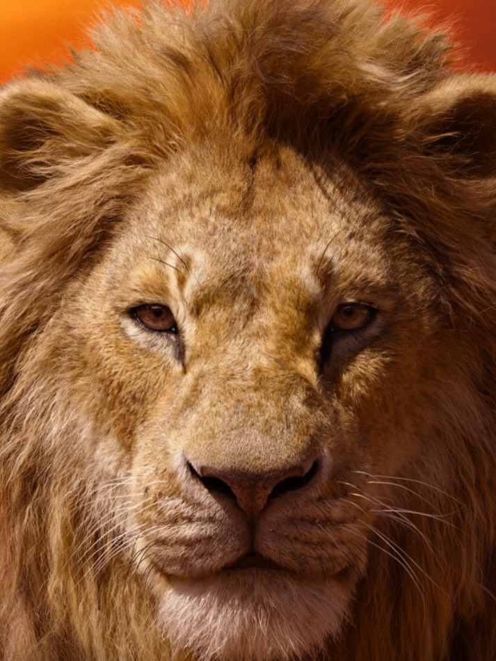 Chat with Simba - Enjoy Free AI Character Roleplay | FlowGPT | Simba RP