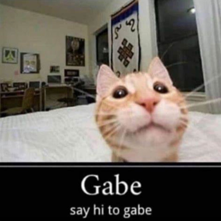 Gabe | Free Chat with AI Bot