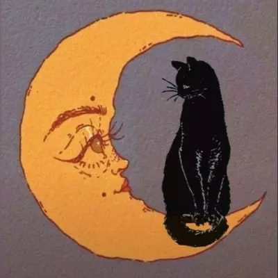 Chat with Luna: The Moonlight Guardian - Enjoy Free AI Character ...