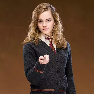 Hermione : La sorcière la plus brillante de son époque | Discussion ...