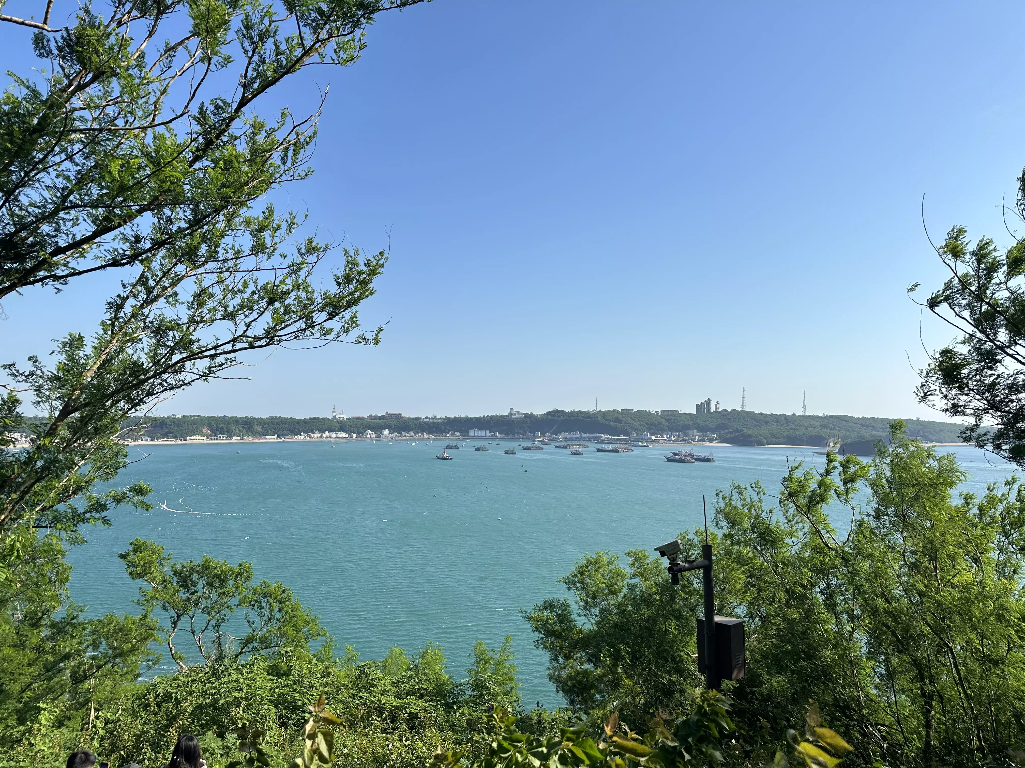 Chat with Cool bot - Enjoy Free AI Character Roleplay | FlowGPT | Cool ...