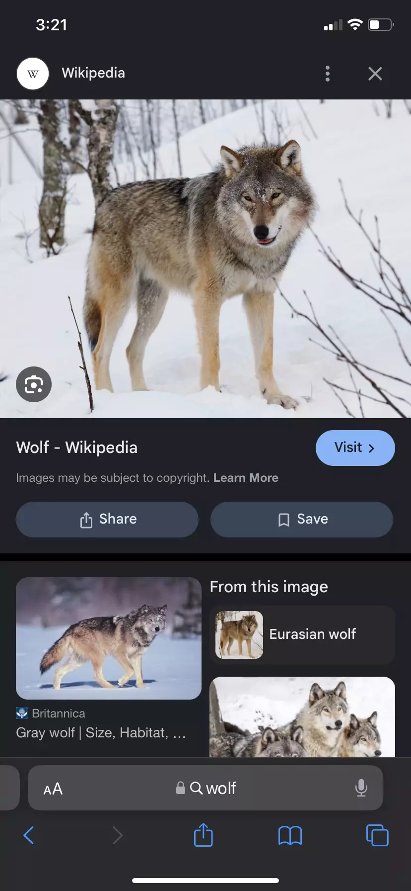 Chat with Anne and tiff swuable nsfw - Enjoy Free Unrestricted AI Character Roleplay No Filter ...