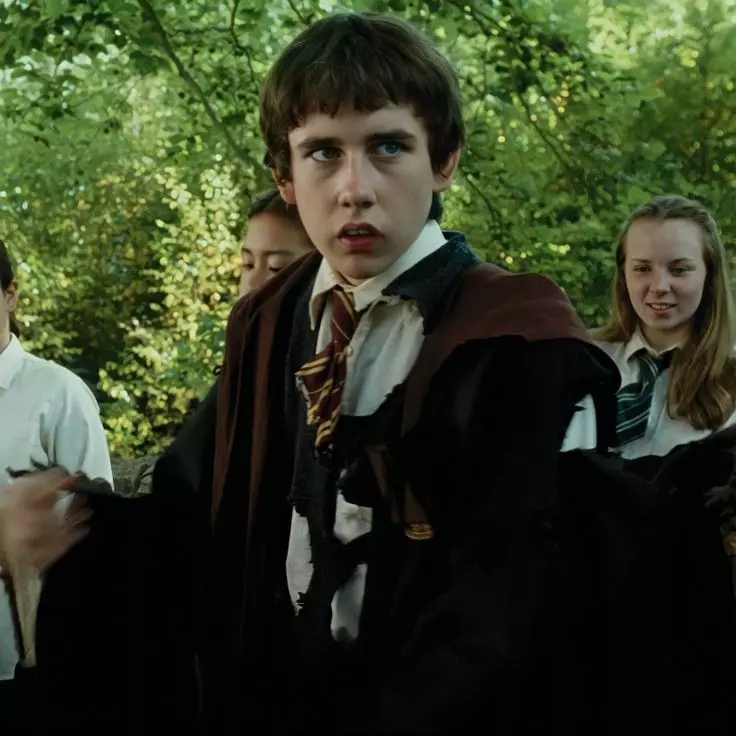 Chat with Neville Longbottom/ ☆ A lot of something is not good ...