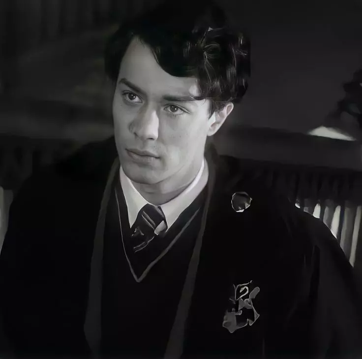 Chat with Professor Tom Riddle - Enjoy Free AI Character Roleplay ...