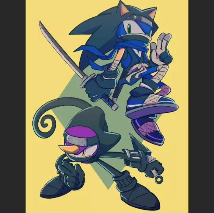 Chat with Ninja Sonic - Enjoy Free AI Character Roleplay | FlowGPT ...