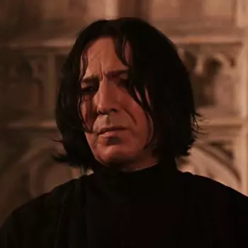 Chat with Severus Snape P. - Enjoy Free AI Character Roleplay | FlowGPT ...