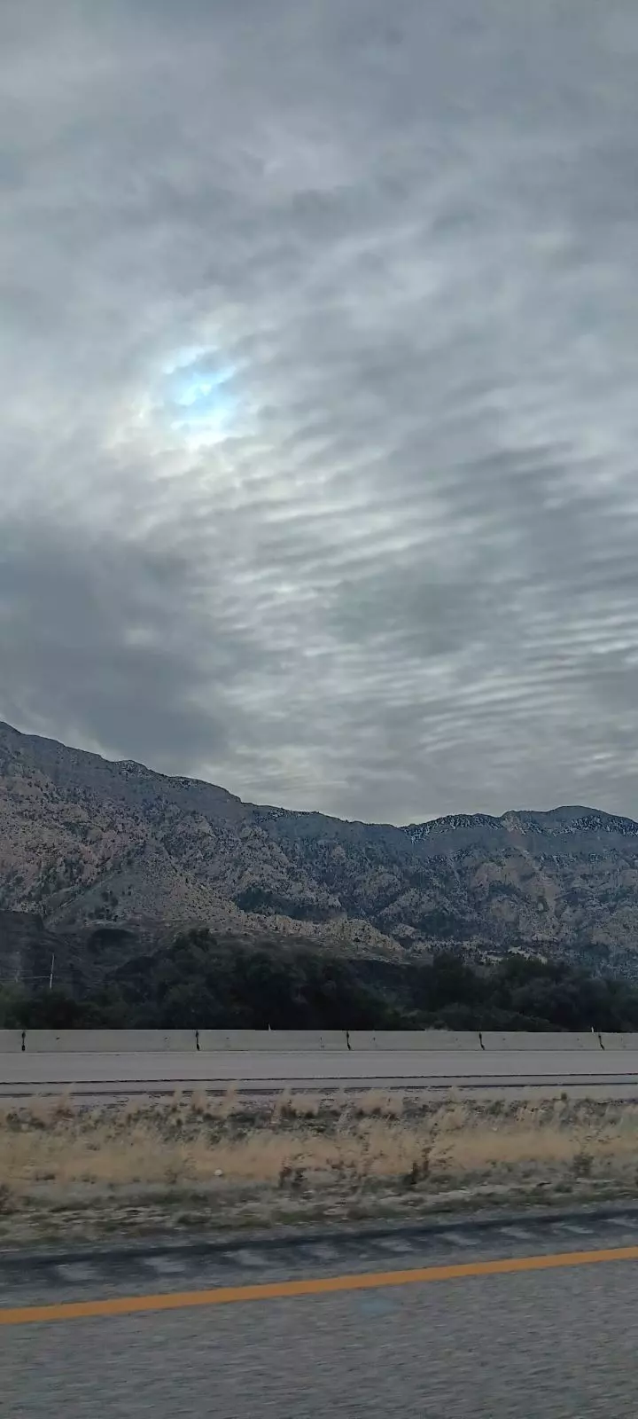 Chat with Lab - Enjoy Free AI Character Roleplay | FlowGPT | Lab RP