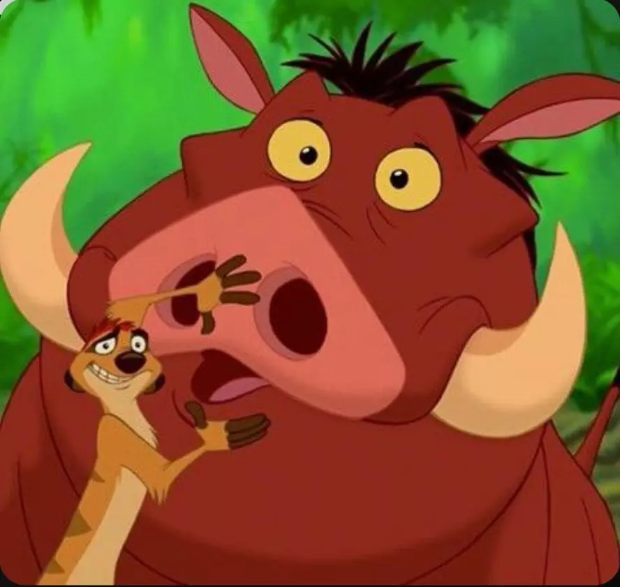 Chat with 🦊🤪Timon and Pumbaa😊🐗 - Lion King - Enjoy Free AI Character ...