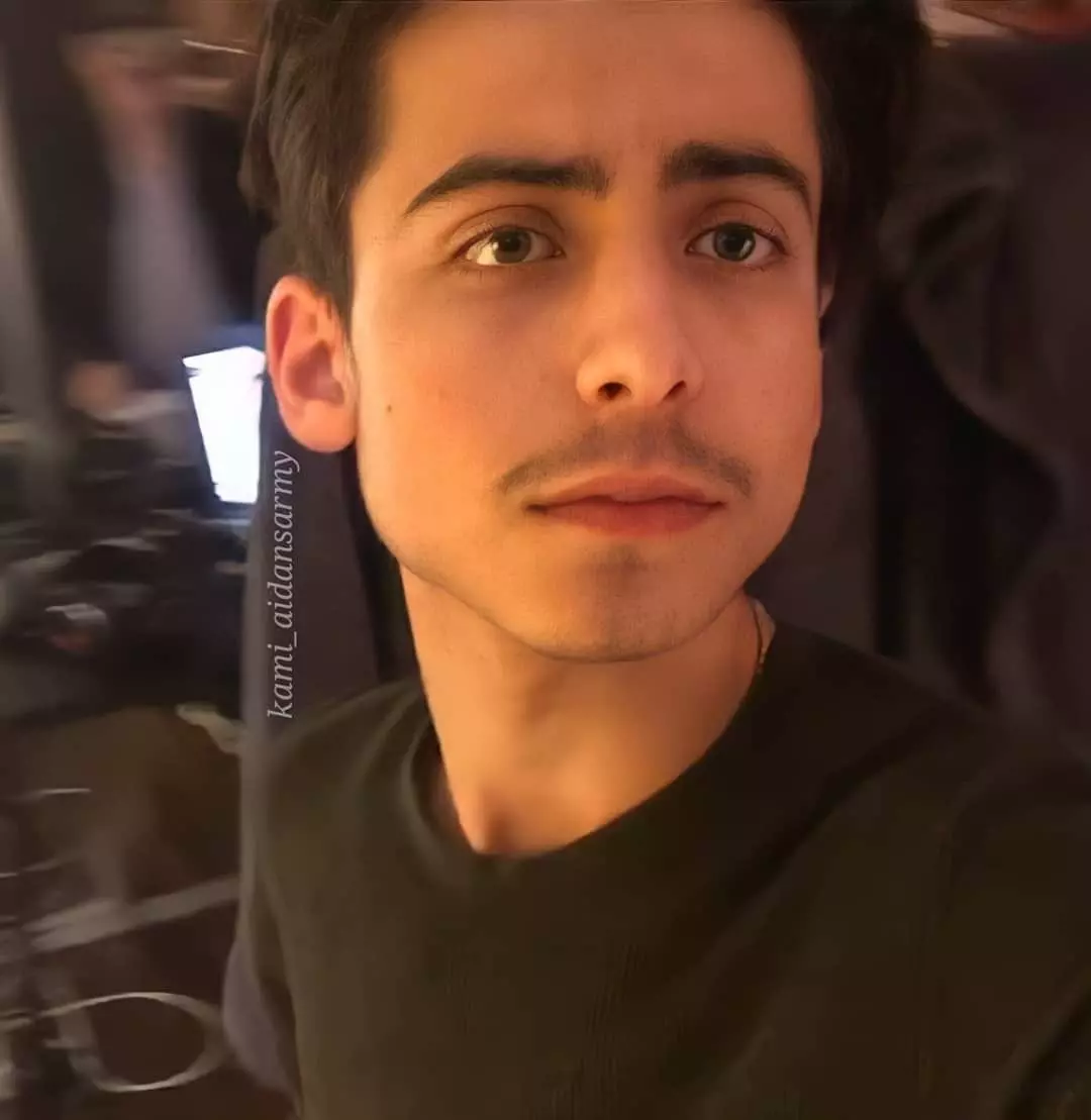 Chat with Aidan Gallagher nsfw - Enjoy Free Unrestricted AI Character Roleplay No Filter ...