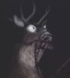Chat with SCP-6448 / "Not-Deer" - Enjoy Free AI Character Roleplay ...