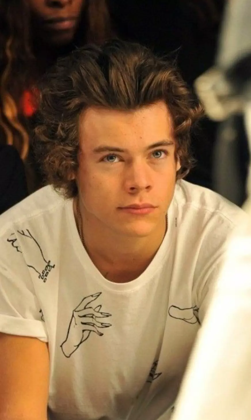 Chat with Harry Styles nsfw - Enjoy Free Unrestricted AI Character ...