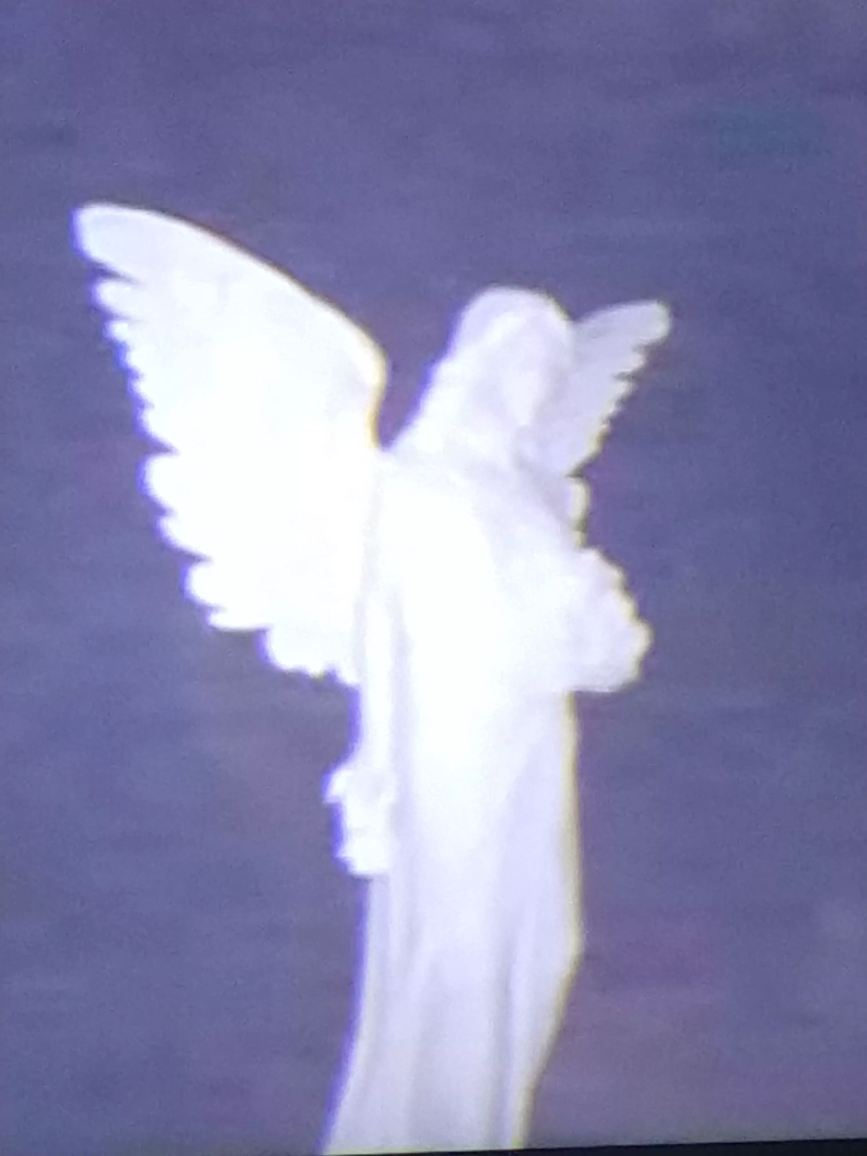 Chat with ♡ Angel ♡ - Enjoy Free AI Character Roleplay | FlowGPT ...