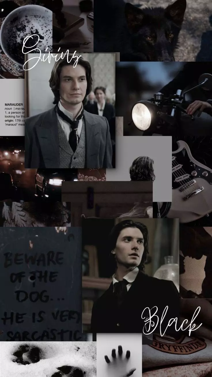 Chat with Sirius Black - Enjoy Free AI Character Roleplay | FlowGPT | Sirius Black RP