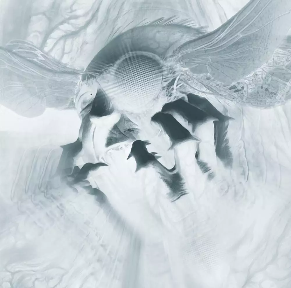 Chat with harry potter - Enjoy Free AI Character Roleplay | FlowGPT ...