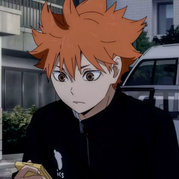 Chat with Shoyo's Surrect - Enjoy Free AI Character Roleplay | FlowGPT ...