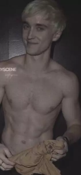 Chat with Draco Malfoy Doninha nsfw - Enjoy Free Unrestricted AI Character Roleplay No Filter ...