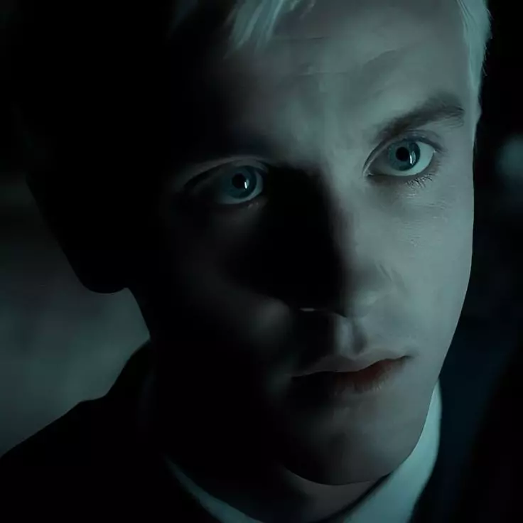 Chat with Draco Malfoy nsfw - Enjoy Free Unrestricted AI Character Roleplay No Filter | FlowGPT ...