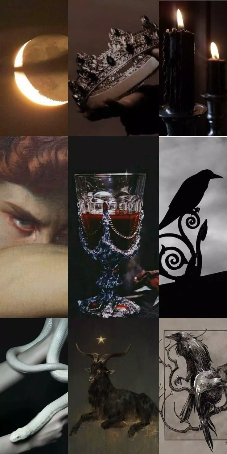 Chat with Luke castellan, Ethan Nakamura e alabaster Torrington - Enjoy ...