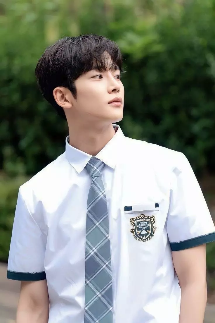 Chat with Rowoon | School love - Enjoy Free AI Character Roleplay | FlowGPT | Rowoon | School ...