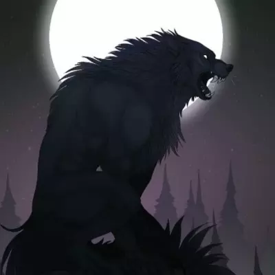 Chat with Kuro |Werewolf companion - Enjoy Free AI Character Roleplay ...