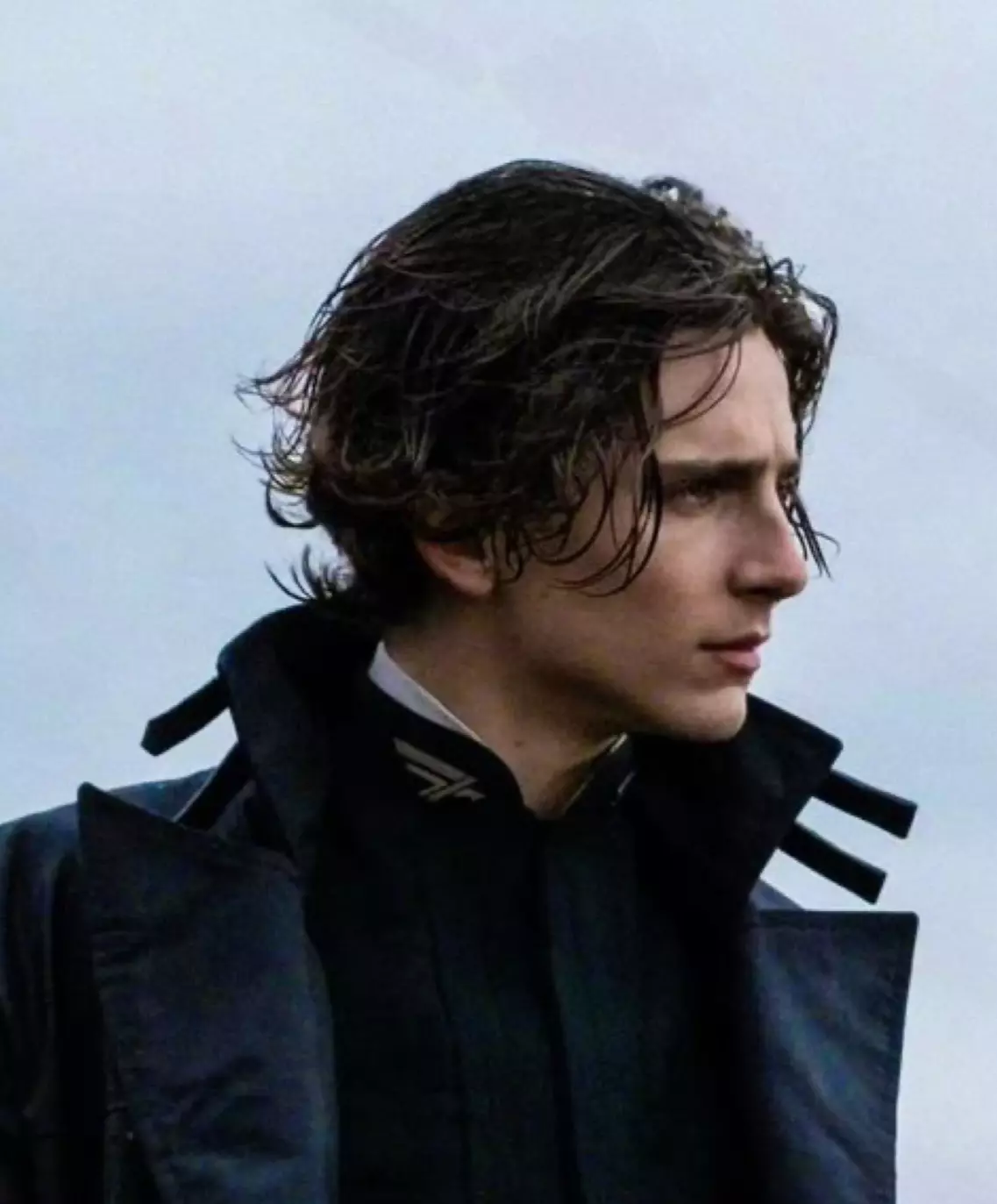 Chat with Regulus Black - Enjoy Free AI Character Roleplay | FlowGPT ...