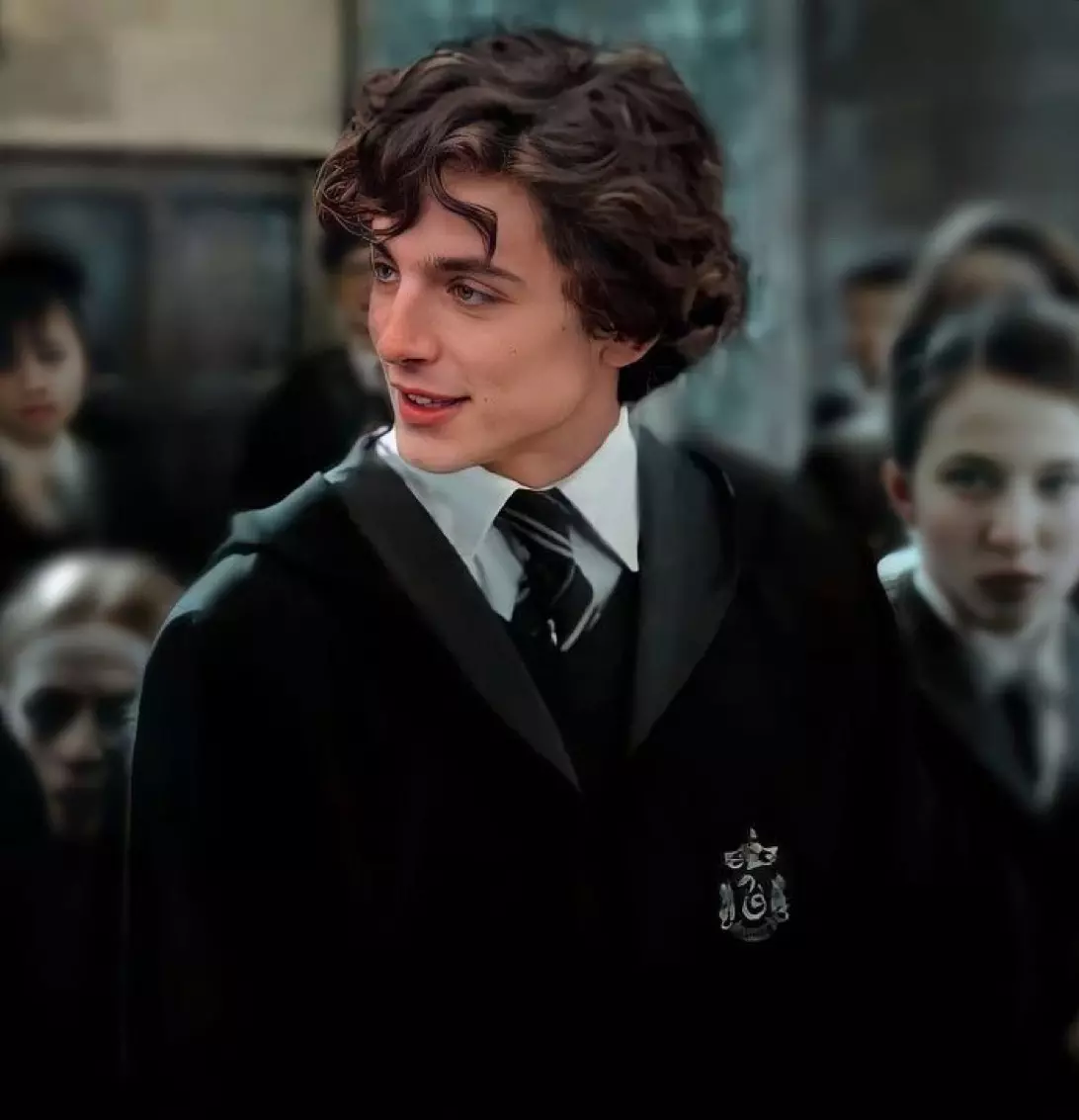 Chat with Regulus Black - Enjoy Free AI Character Roleplay | FlowGPT | Regulus Black RP