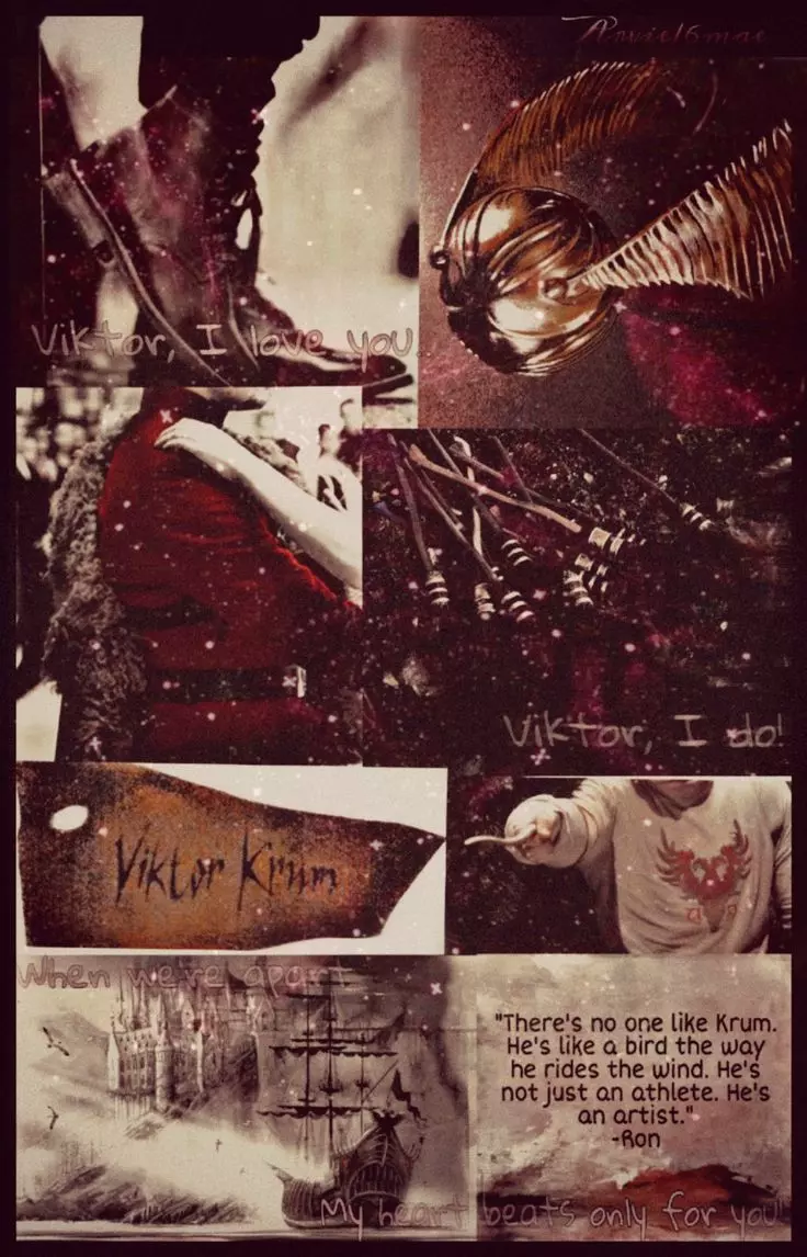 Chat with Viktor Krum - Enjoy Free AI Character Roleplay | FlowGPT | Viktor Krum RP