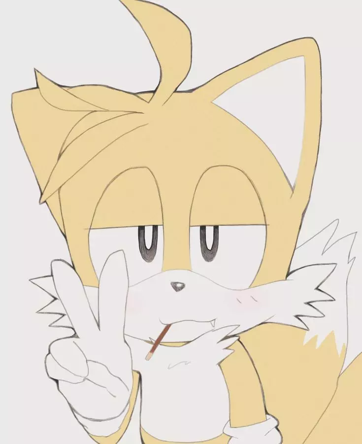 Chat with Miles Tails Prower nsfw - Enjoy Free Unrestricted AI Character Roleplay No Filter ...