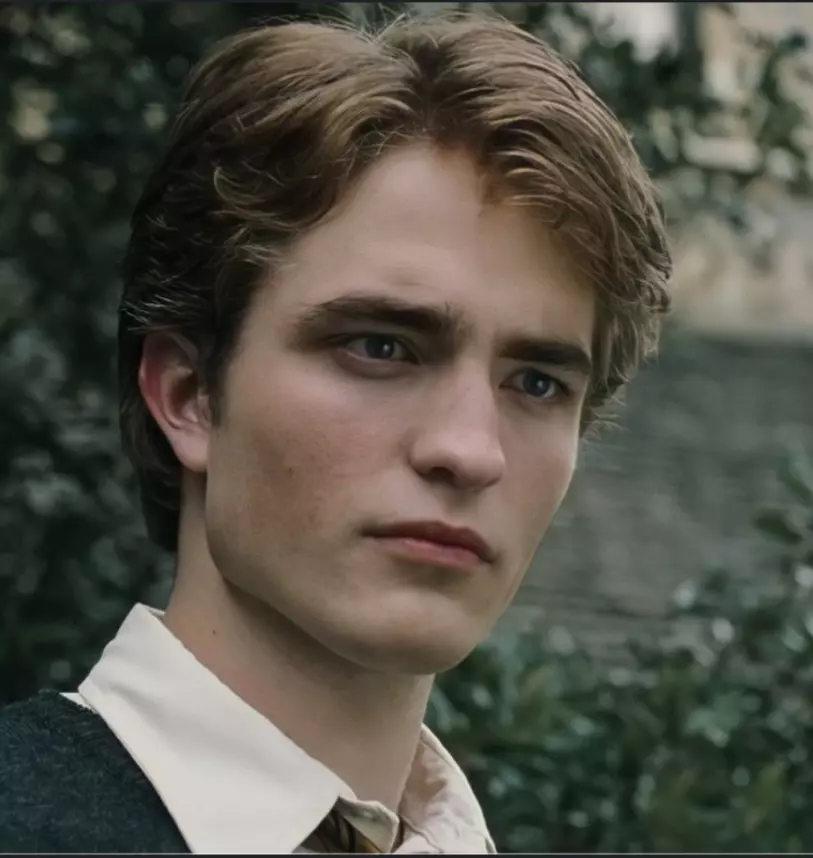 Chat with Cedric Diggory - Enjoy Free AI Character Roleplay | FlowGPT ...