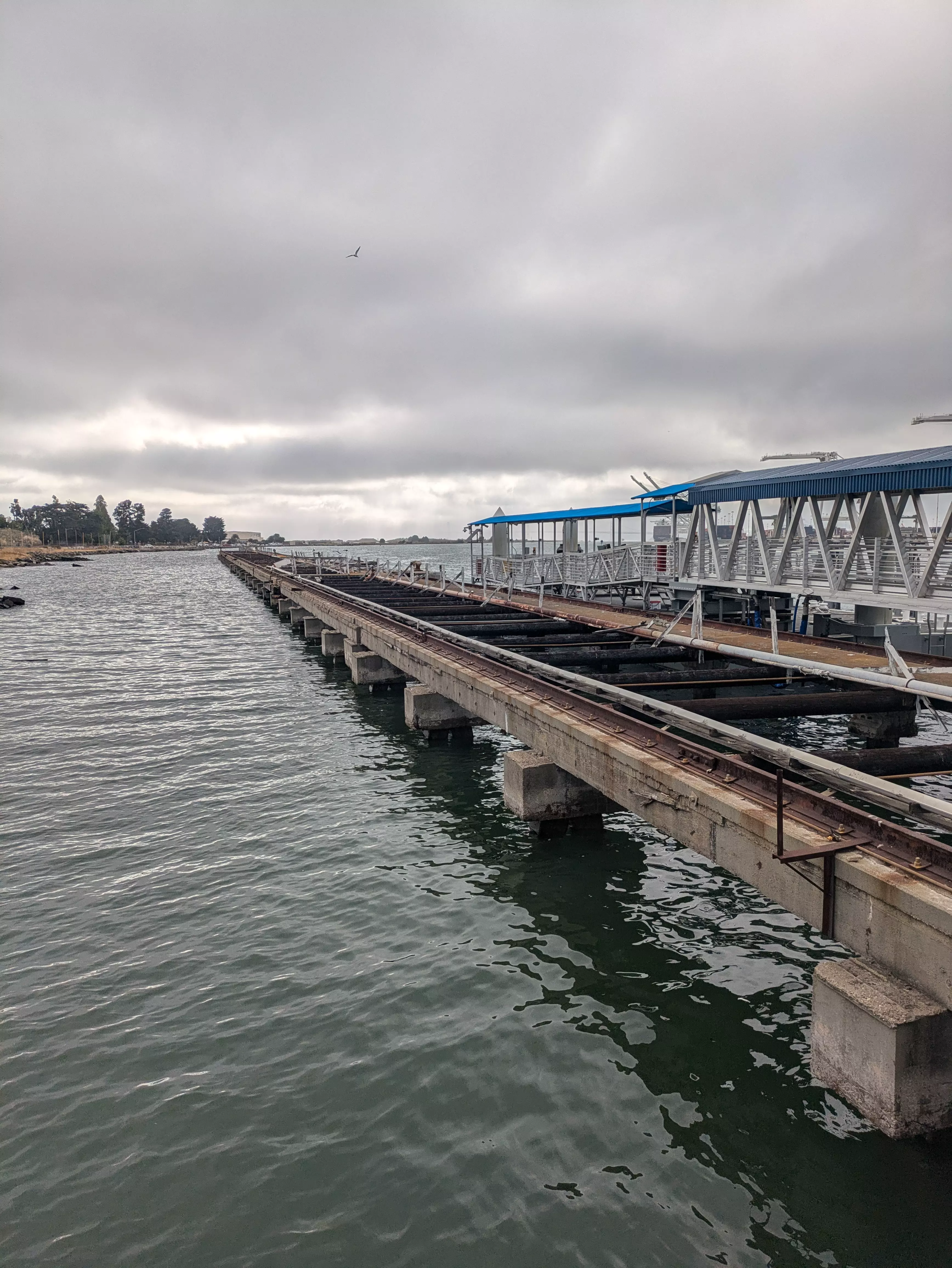 Chat with My Hero Academia - Enjoy Free AI Character Roleplay | FlowGPT ...