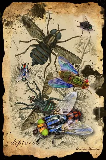 Chat with 000 000 - Enjoy Free AI Character Roleplay | FlowGPT | 000 000 RP