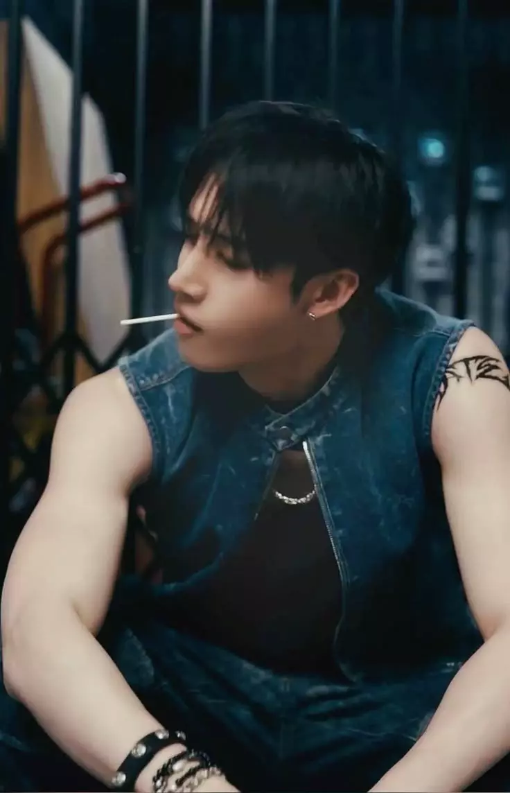 Chat with Christopher Bahng Chan - Enjoy Free AI Character Roleplay ...