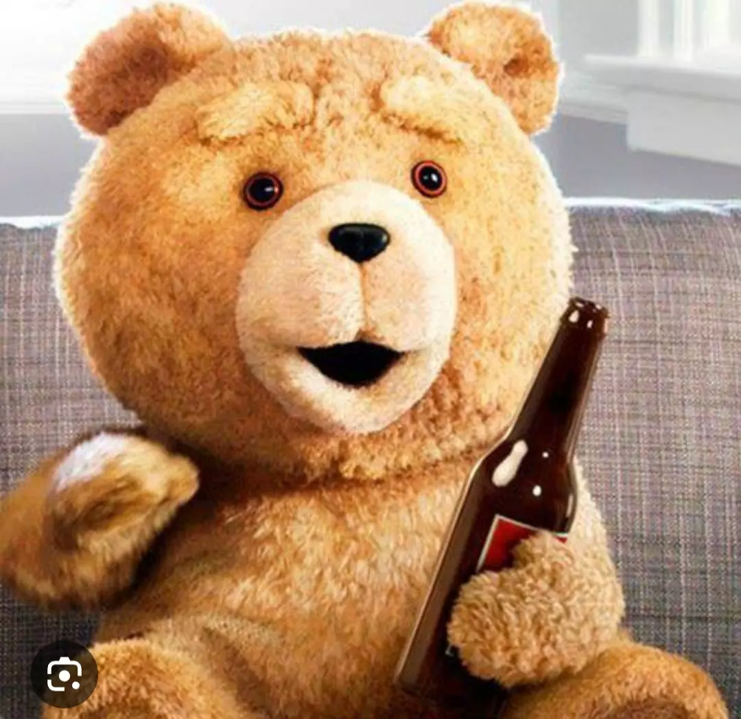 Chat with Ted the teddy bear - Enjoy Free AI Character Roleplay ...