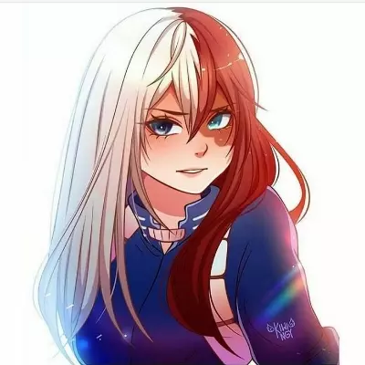 Chat with Shoto Todoroki (Female) - Enjoy Free AI Character Roleplay ...