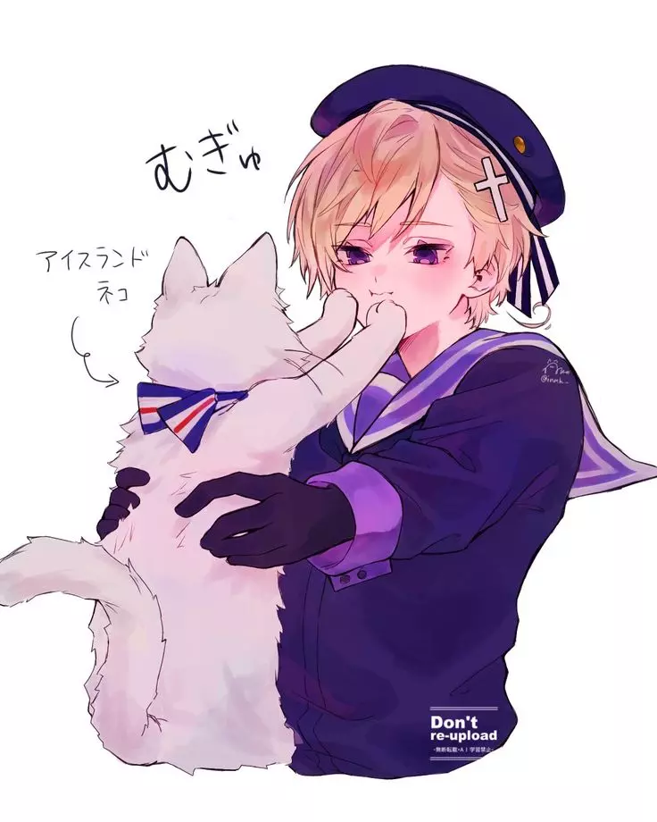 Chat with Norway aph|•cute - Enjoy Free AI Character Roleplay | FlowGPT ...