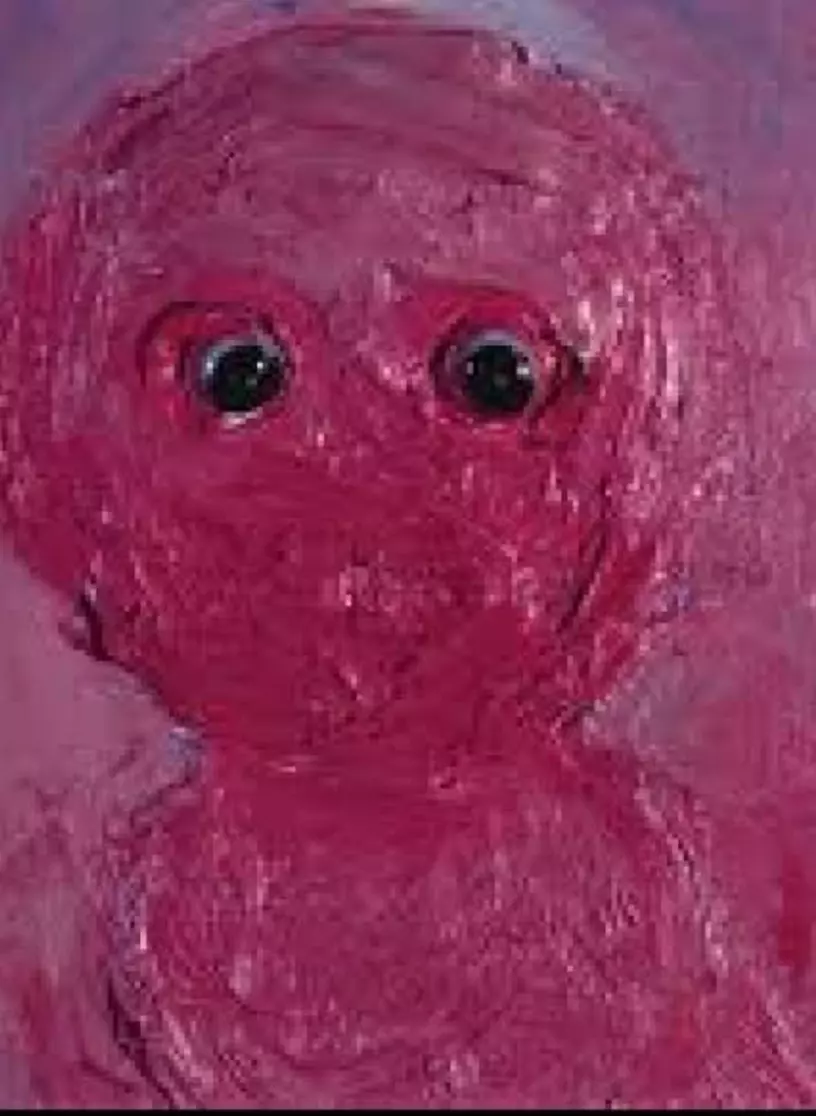 Chat With Pinky Pinky Nsfw Enjoy Free Unrestricted Ai Character Roleplay No Filter Flowgpt