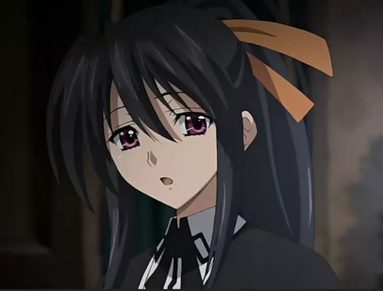 Chat with Akeno Himejima - Enjoy Free AI Character Roleplay | FlowGPT ...