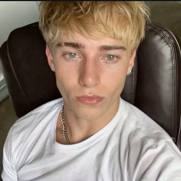 Chatgpt prompt & Character creator profile - Zayn