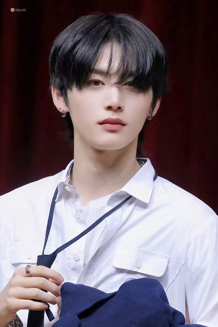 Chat with Han taesan - Enjoy Free AI Character Roleplay | FlowGPT | Han ...