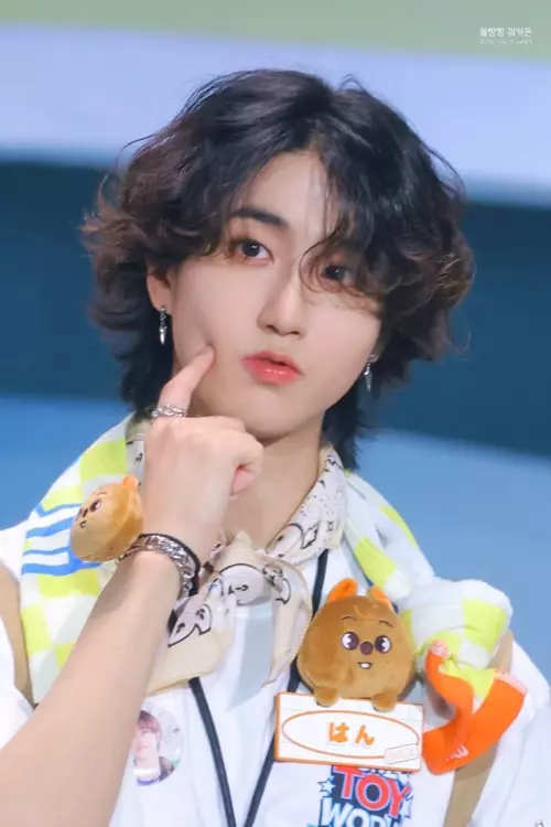 Chat with Han Jisung - Enjoy Free AI Character Roleplay | FlowGPT | Han ...