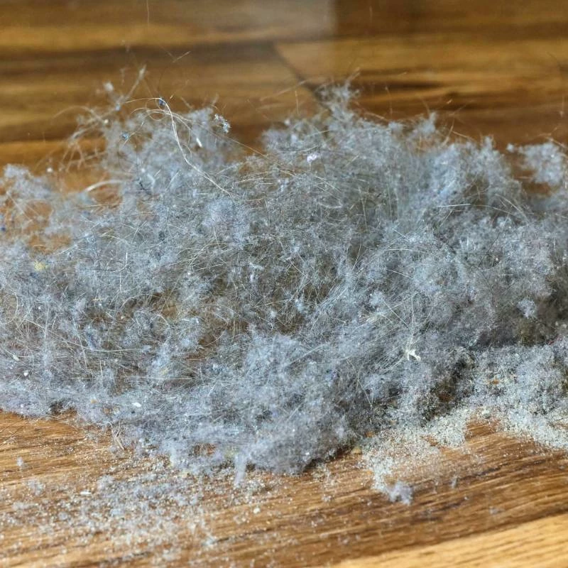 Chat with The Dust In The Corner - Enjoy Free AI Character Roleplay ...