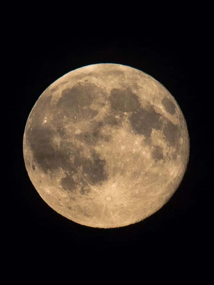 SULAV GPT | Free Chat with AI Bot