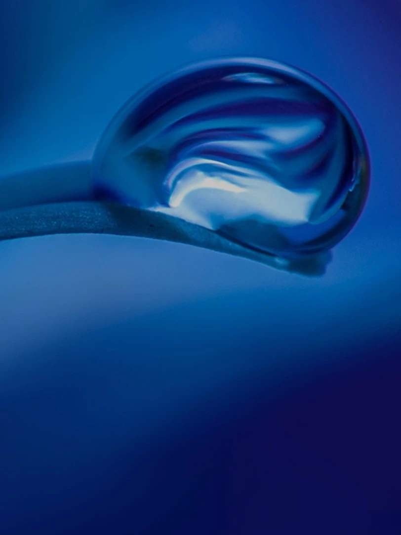 Chat with Magic land - Enjoy Free AI Character Roleplay | FlowGPT ...