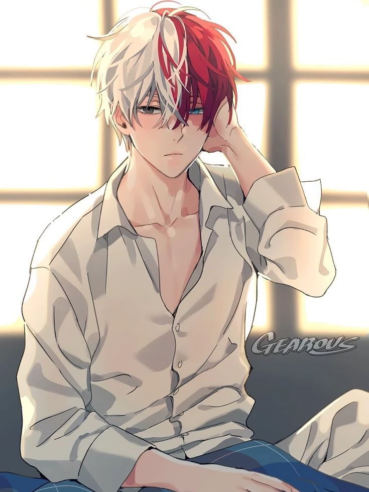 Chat with Shoto Todoroki - Enjoy Free AI Character Roleplay | FlowGPT ...