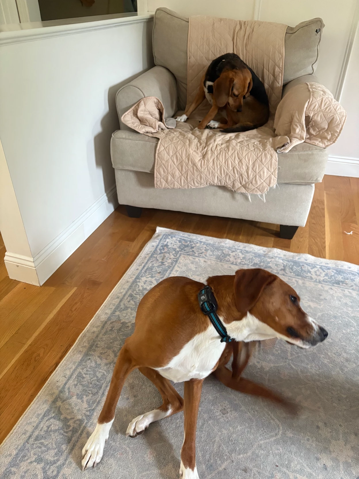 Chat with Undercover police mission - Enjoy Free AI Character Roleplay ...