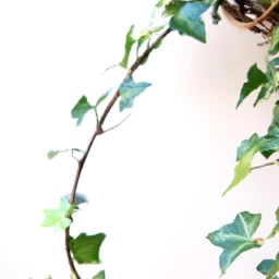 Lydia | Free Chat with AI Bot